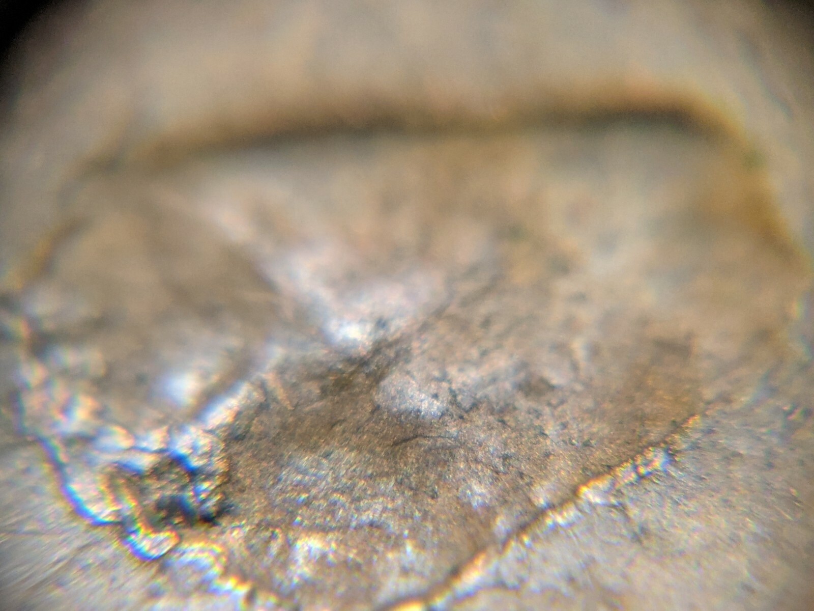 1960 Major Lamination Obverse US Mint Error Lincoln Memorial Cent | eBay