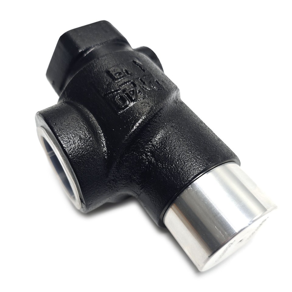 Rotary Screw Minimum Pressure Check Valve for 1-1/4 INCH X 1-1/4'' 459 ...