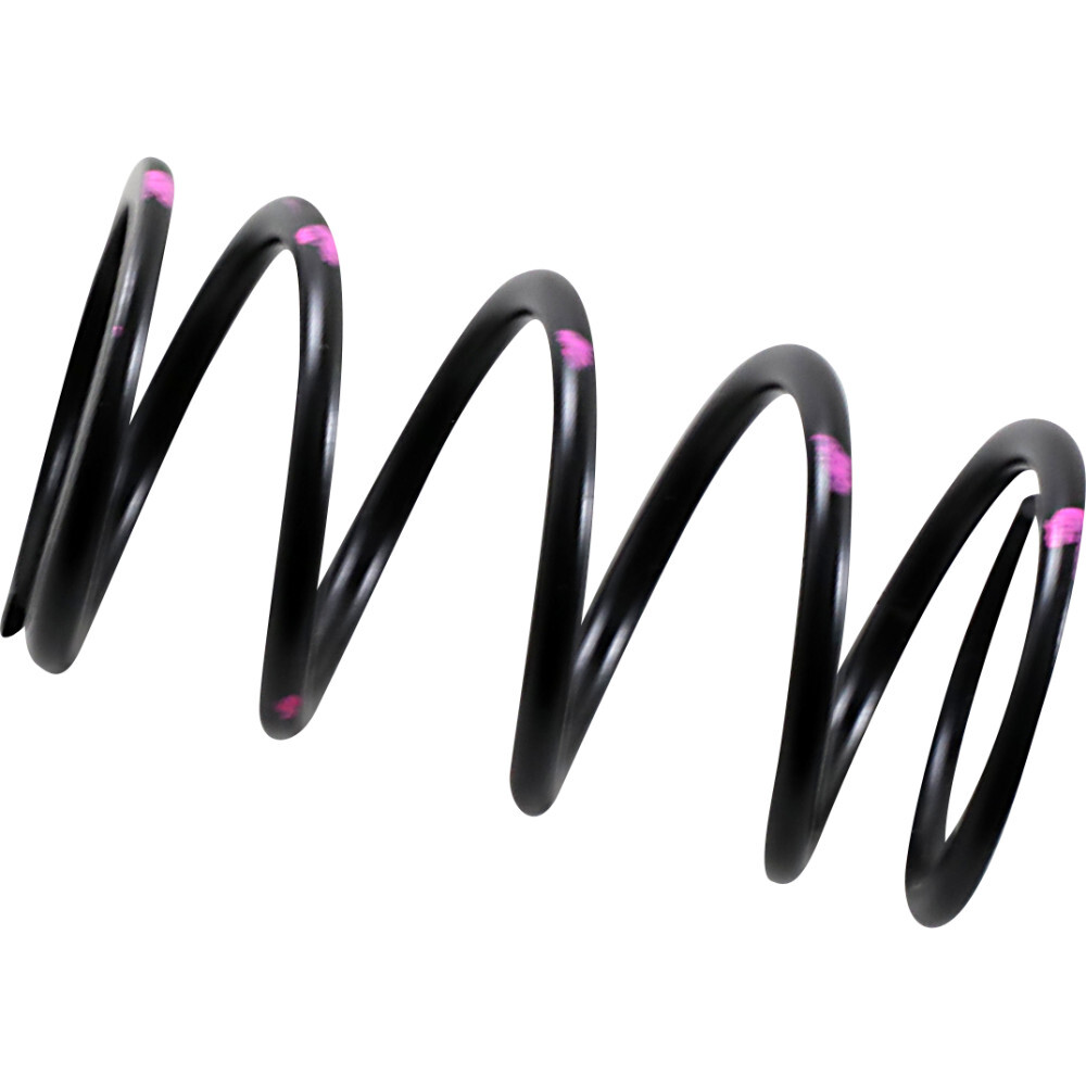 Venom Products Polaris Primary Clutch Spring, 120-270 Black/Pink ...