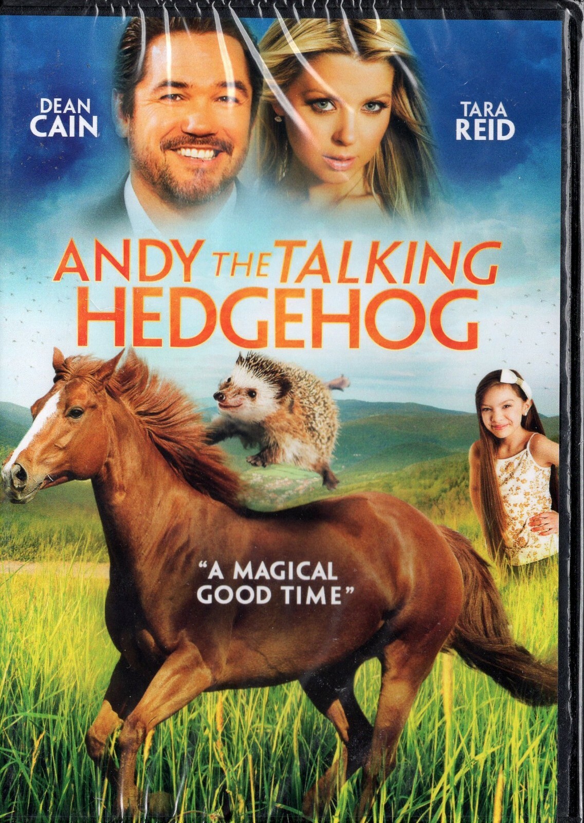 Andy The Hedgehog