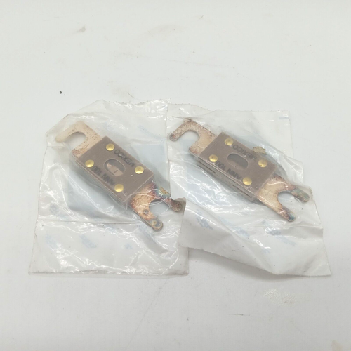 SYBU-ANN100 100 Amp Fuse Lot of 2 | eBay