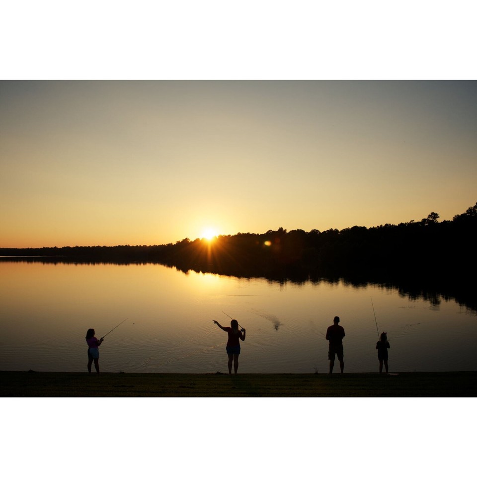 Shakespeare Excursion Spinning Fishing Rod | eBay