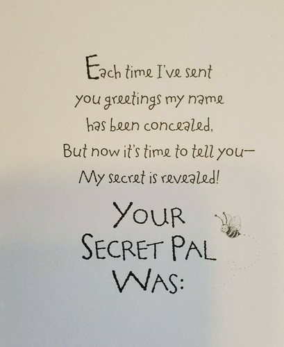 'Meet your secret pal!' pen pal greeting card | eBay