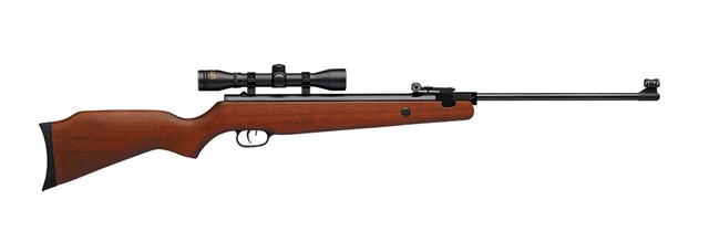 Beeman 10512 Teton Pellet Rifle .22 Caliber Break Barrel for sale ...