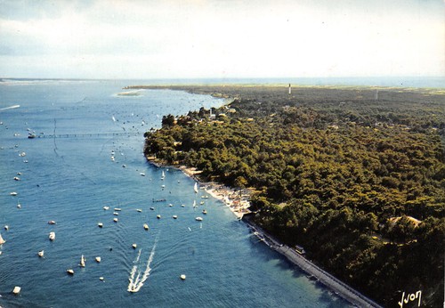 33-CAP FERRET-N T2663-A/0351 | eBay