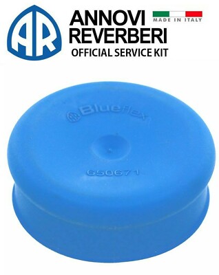 9910-650671 BlueFlex Dampener Diaphragm for Hypro D30, D50, D70 | eBay