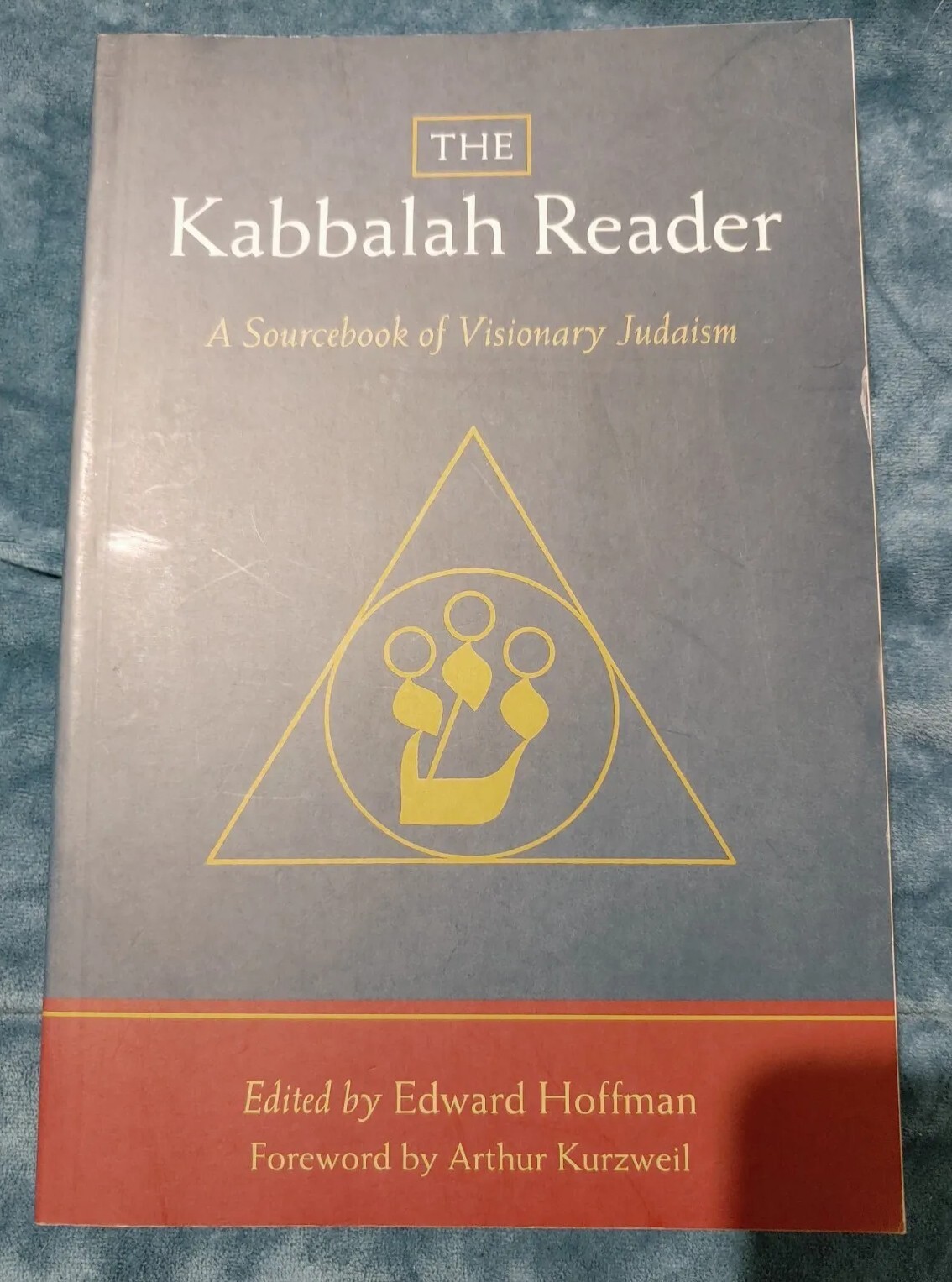 The Kabbalah Reader : A Sourcebook of Visionary Judaism by Edward Hoffman 9781590306567 | eBay