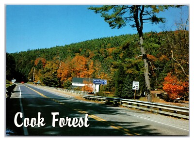 1990s- Route 36 Bridge Over River- Cook Forest, Pennsylvania Postcard ...