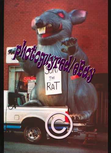 "SCABBY"-rat-union picket mascot-Sony-Chicago-8 x 12-inch color ...