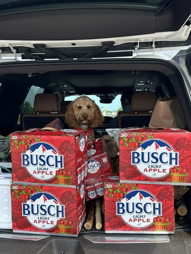 🔥busch light apple 30 pack cans🔥 | eBay