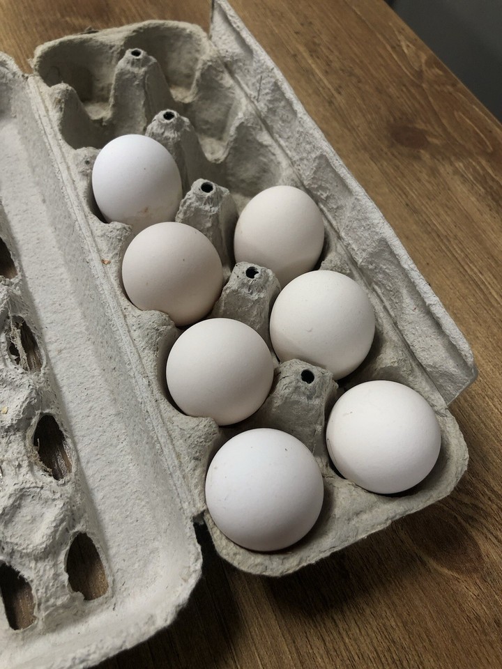 10+ Bantam Sultan Hatching Eggs | eBay