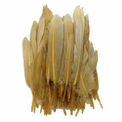 Tiny Goose Pointer Feathers 10 grams - Latte | eBay Australia