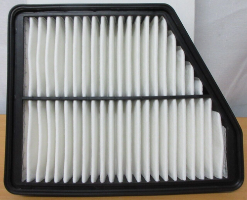AA273 Air Filter Hyundai Elantra (A1520 Ryco, WA1166 Wesfil, 2811317500 ...