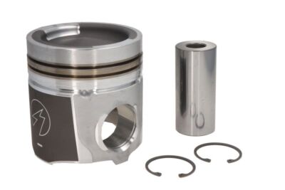Piston FP DIESEL 3631241-FP | eBay Australia