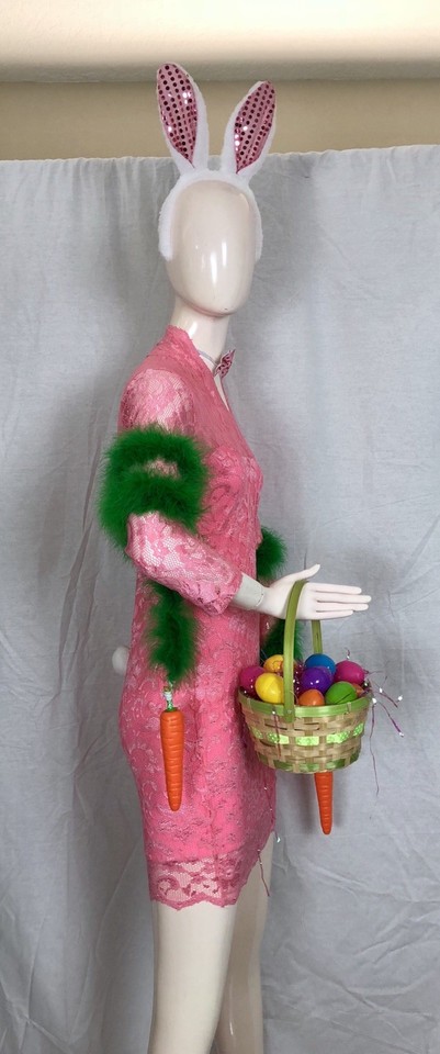 7 PC Sexy EASTER BUNNY Rabbit Costume Dress Ears Tail Basket Boa UNIQUE ...