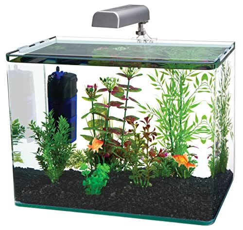 Water-World Radius Desktop Nano Aquarium Kit – Come with LED Light, 5 ...