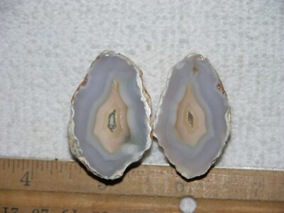Laguna agate geode pair cut and polished Mexico 1 3/4 x 1 3/4 inch H17 ...