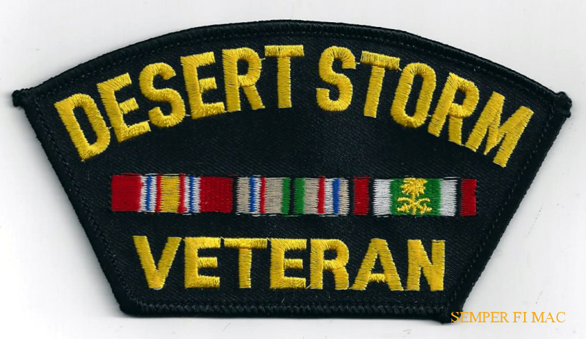 DESERT STORM VETERAN HAT PATCH GULF WAR PIN UP US ARMY MARINE NAVY AIR ...