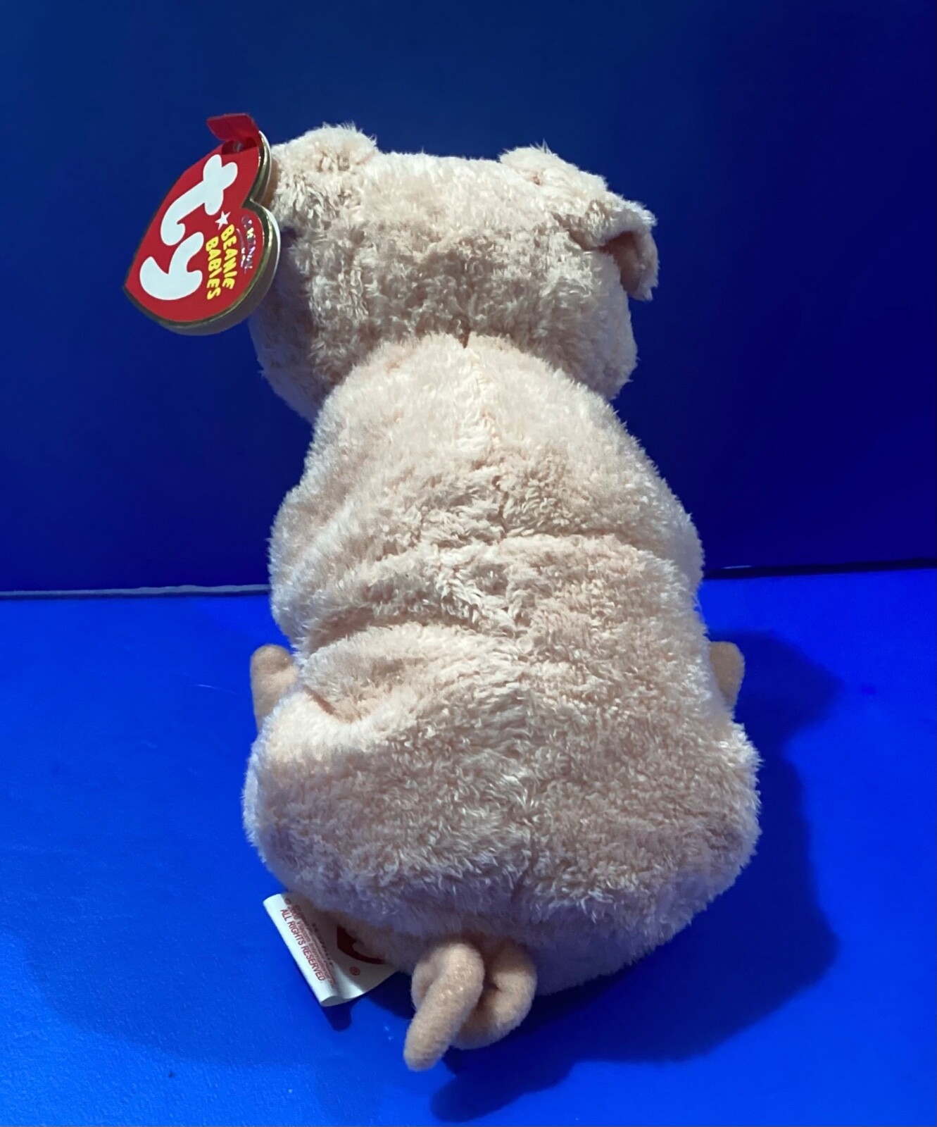 Ty 2006 Charlotte’s Web WILBUR the PIG Beanie Baby 6” NEW! | eBay