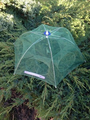 48,köderfisch senke,Reuse,Köderfischreuse,Senke netz,All reuse,6 ...