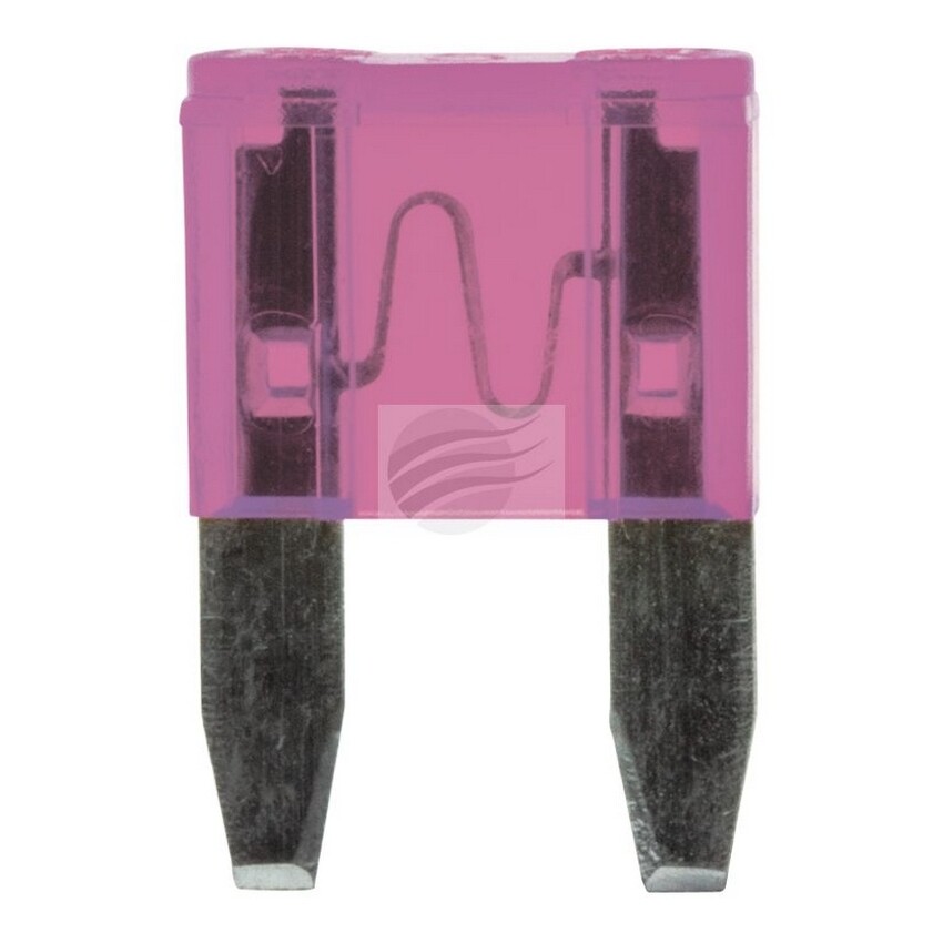Jaylec FU2003-10 Mini Blade Fuse 3A Violet 10 Pack | eBay
