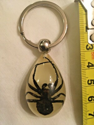 Real Spider Key Chain - NEW - USA SELLER | eBay