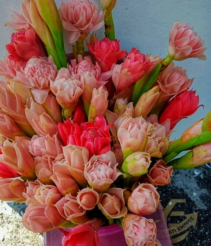 Ginger Flower Cooking