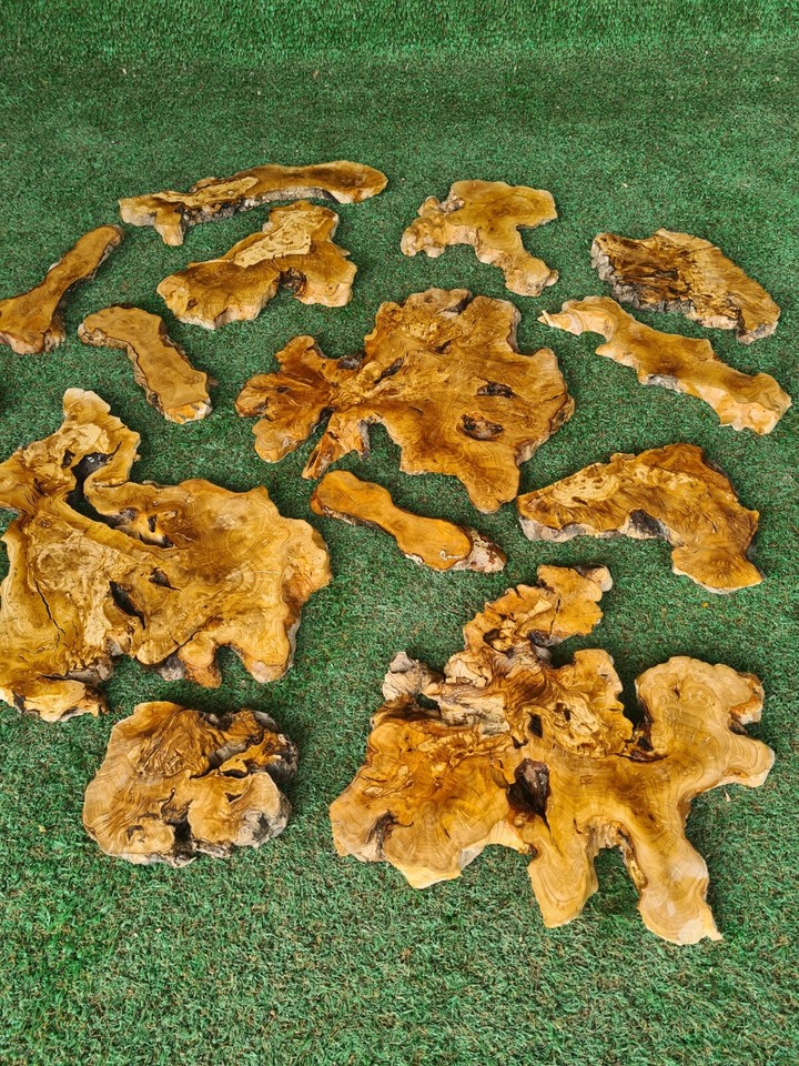 5 Kg / 11 Lbs Natural Burl Olive Wood Slices Set, Raw Edge Olive Wood ...