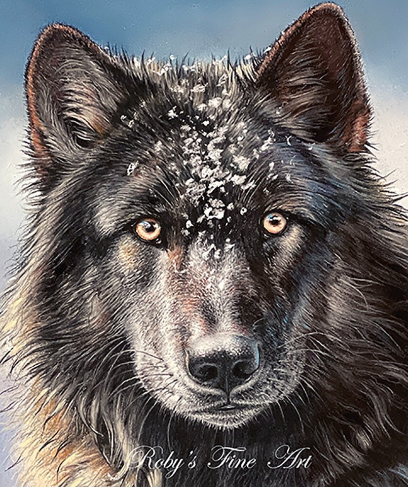 Timber Wolf Art Print 5"x7" Giclee "Cold Stare" by Pastel Artist Roby ...