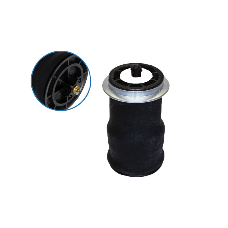 Air Spring Cabin IHC ABSZ70-683 4050683C2 for sale online | eBay