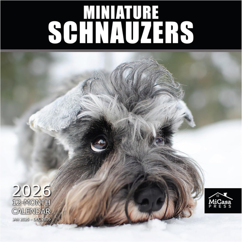 Miniature Schnauzers 2026 Wall Calendar 12 Month | 12" x 24" Open ...
