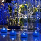 24 Pack LED Tea lights Candles – Flickering Blue Flameless Tealight ...