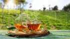 Ceylon Tea - Sri lanka Natural Organic Best Pure Black Watawala Kahata ...