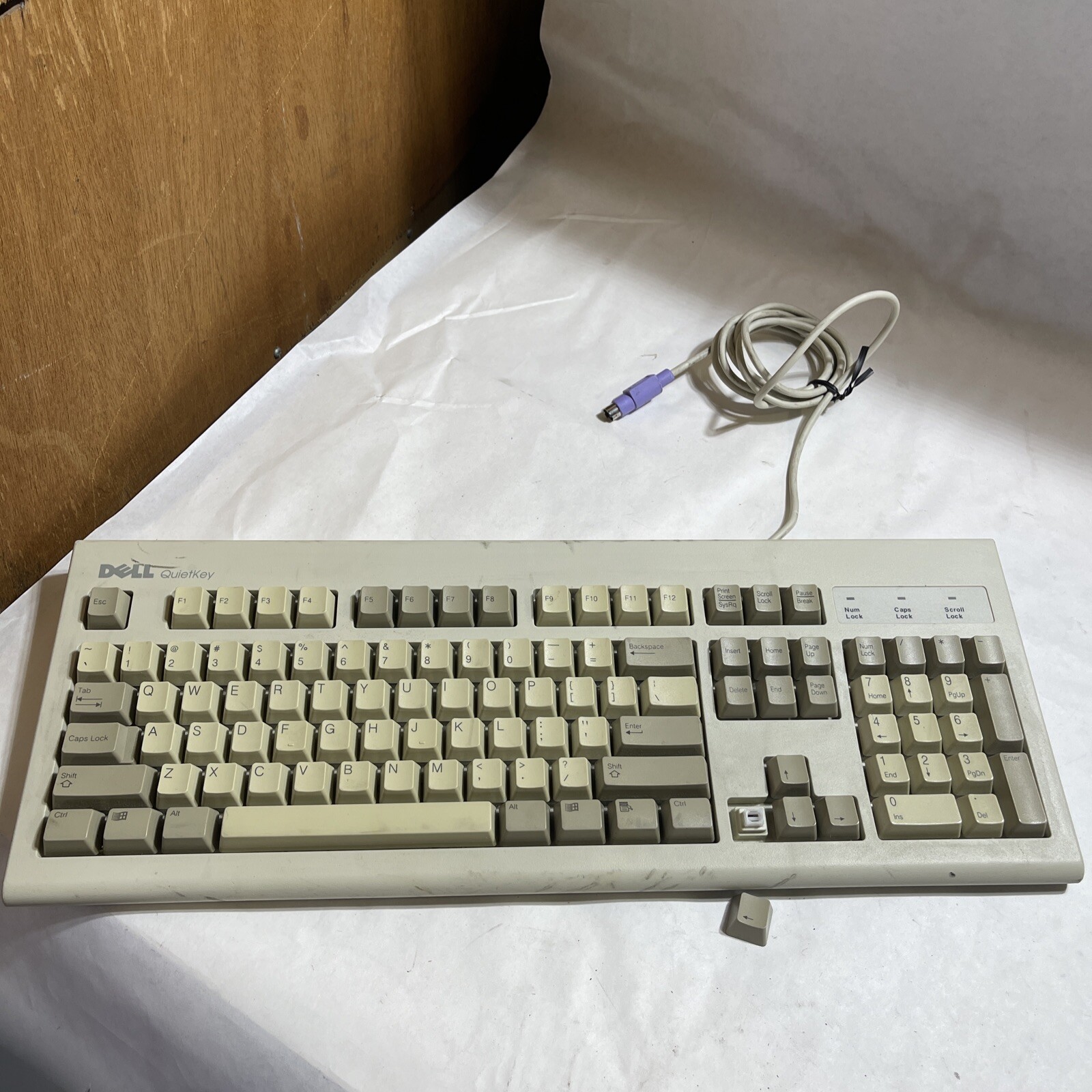 Vintage DELL Model RT7D5JTW QuietKey PS/2 Beige Keyboard (Tested and ...