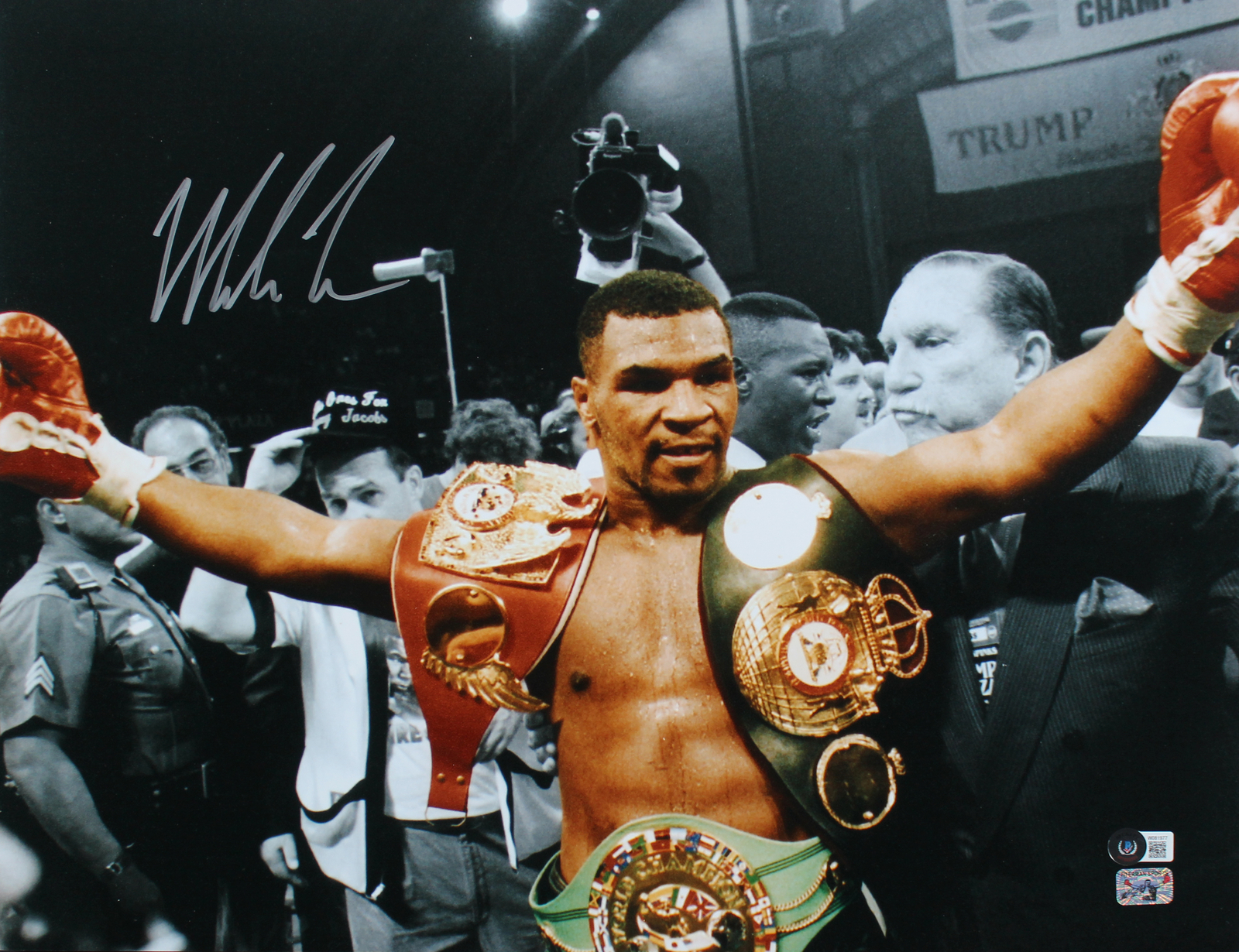 Mike Tyson Authentic Signed 16x20 Horizontal Spotlight Photo w/ Arms ...