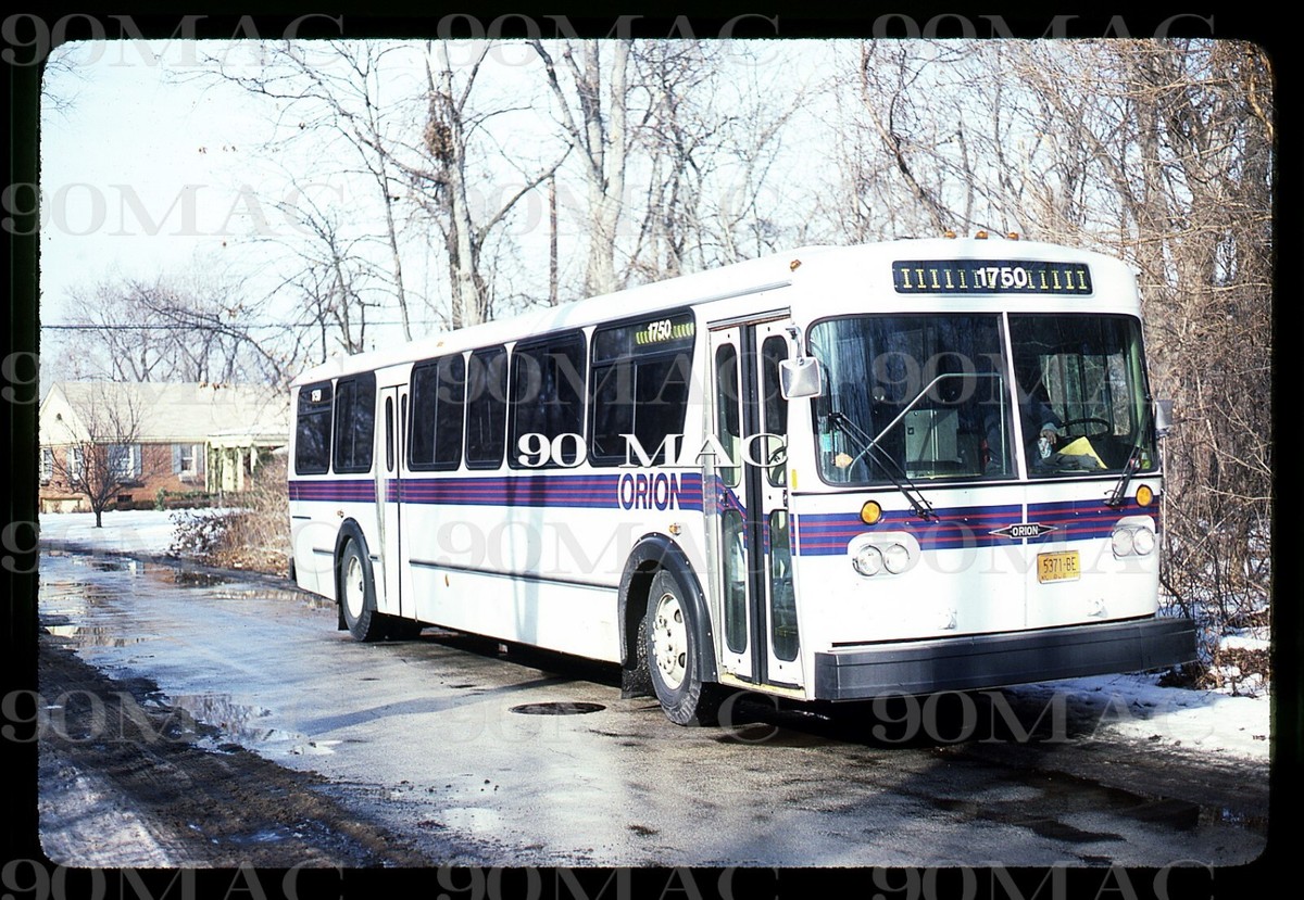 Cta Buses Orion