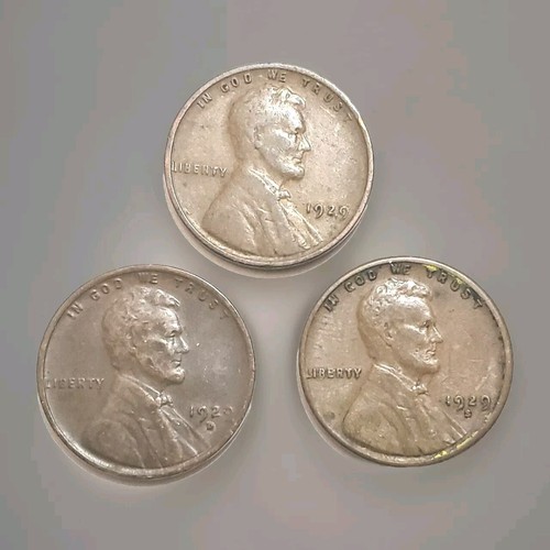 1929 P D S Type Set Circulated Lincoln Wheat Cents Collector Coins | eBay