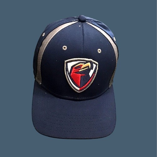 NAVY JETHAWKS TEAM LOGO MENS FLEXFIT M/L HAT | eBay