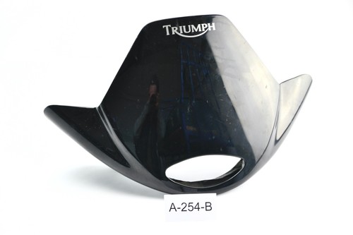 Triumph Speed Triple 955i T509 BJ 1997 - windshield flyscreen glued ...