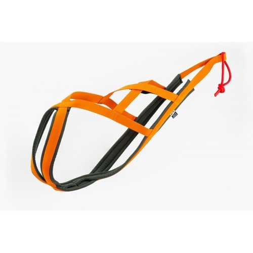 Sali Sled Harness Orange Zughundegeschirr Hundegeschirr Canicross Bike | eBay.de