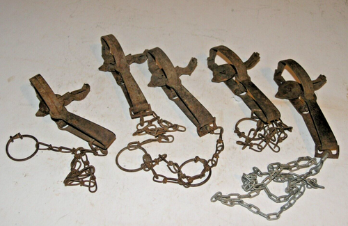 Five Vintage Victor Small Animal Leg Traps w/chains Trap 3" Long and 2 ...