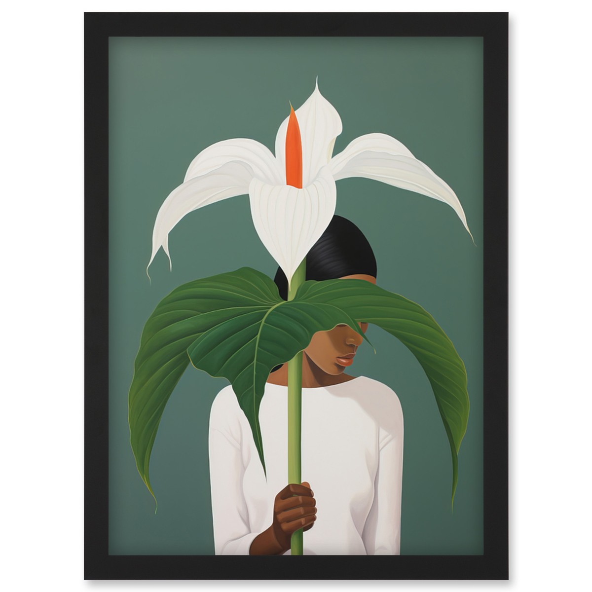 Peace Lily Drawing Peace Lily: Plant Care Guide