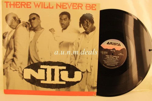 N II U - There Will Never Be ,Record 12" VG | eBay