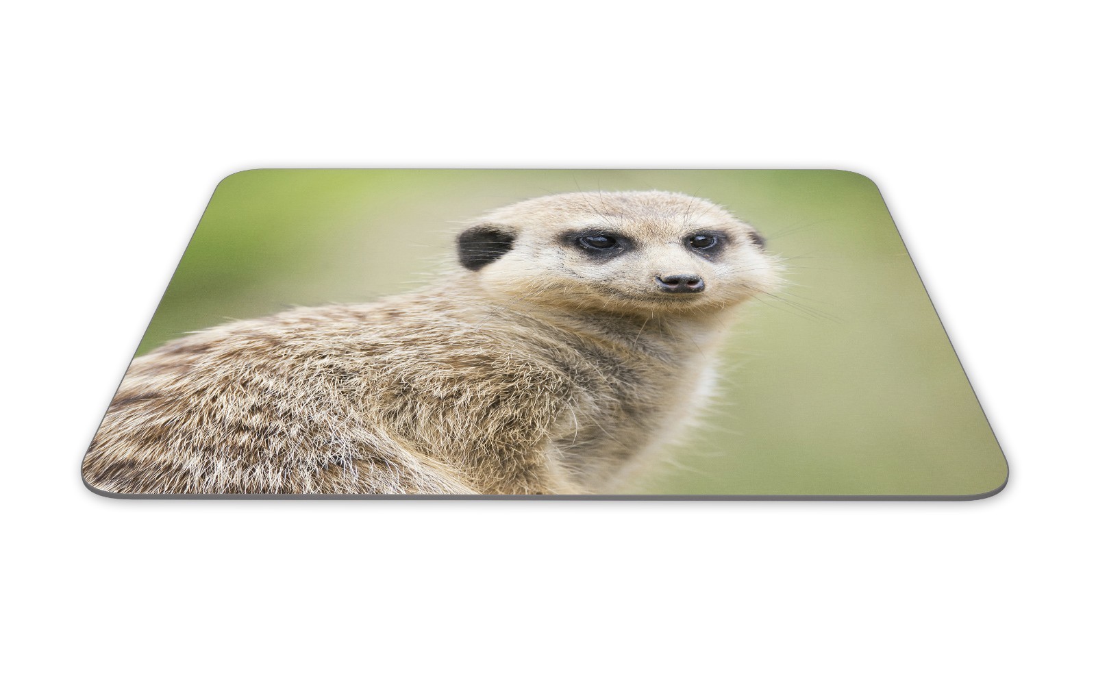 Cute Meerkat Mouse Mat Pad - Funny Animal Kids Funny Cool Gift PC ...