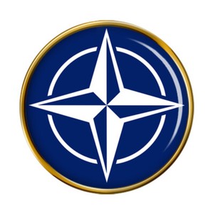 NATO Pin Badge | eBay