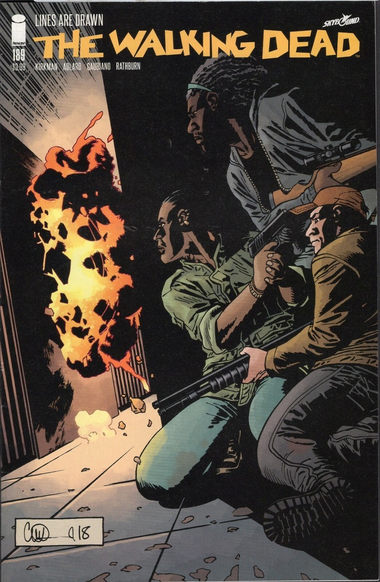 Walking Dead Graphic Novel Line The Walking Dead Days Gone Bye Volume
