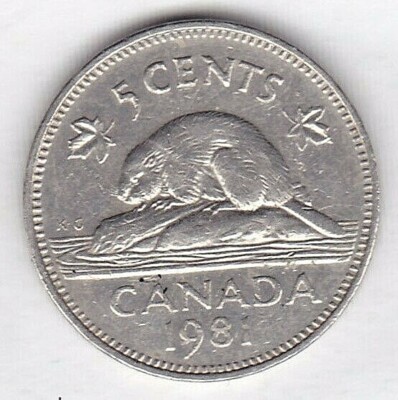 1981 CANADA NICKEL ~ YOU GRADE IT ~ PLEASE SEE THE SCAN . | eBay