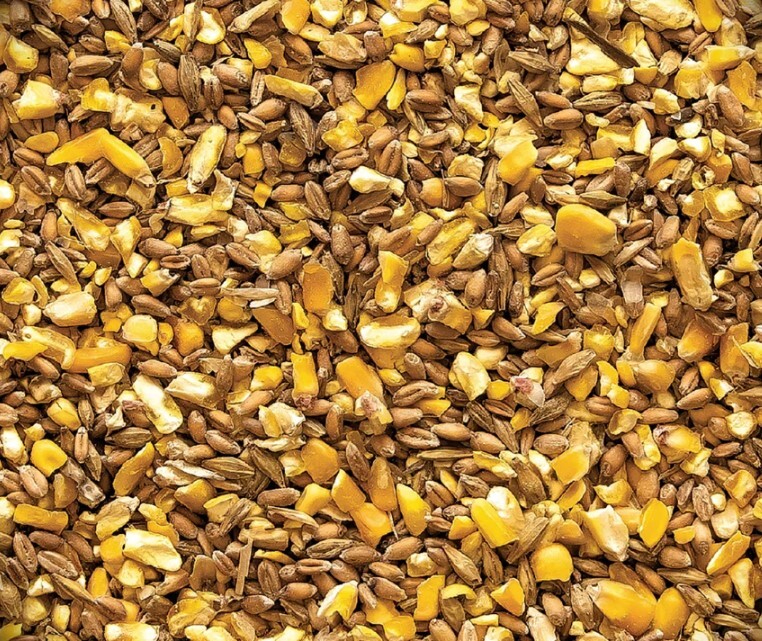 Scratch Grains Poultry Feed Corn Milo Oats Chicken Duck Turkey Wild ...