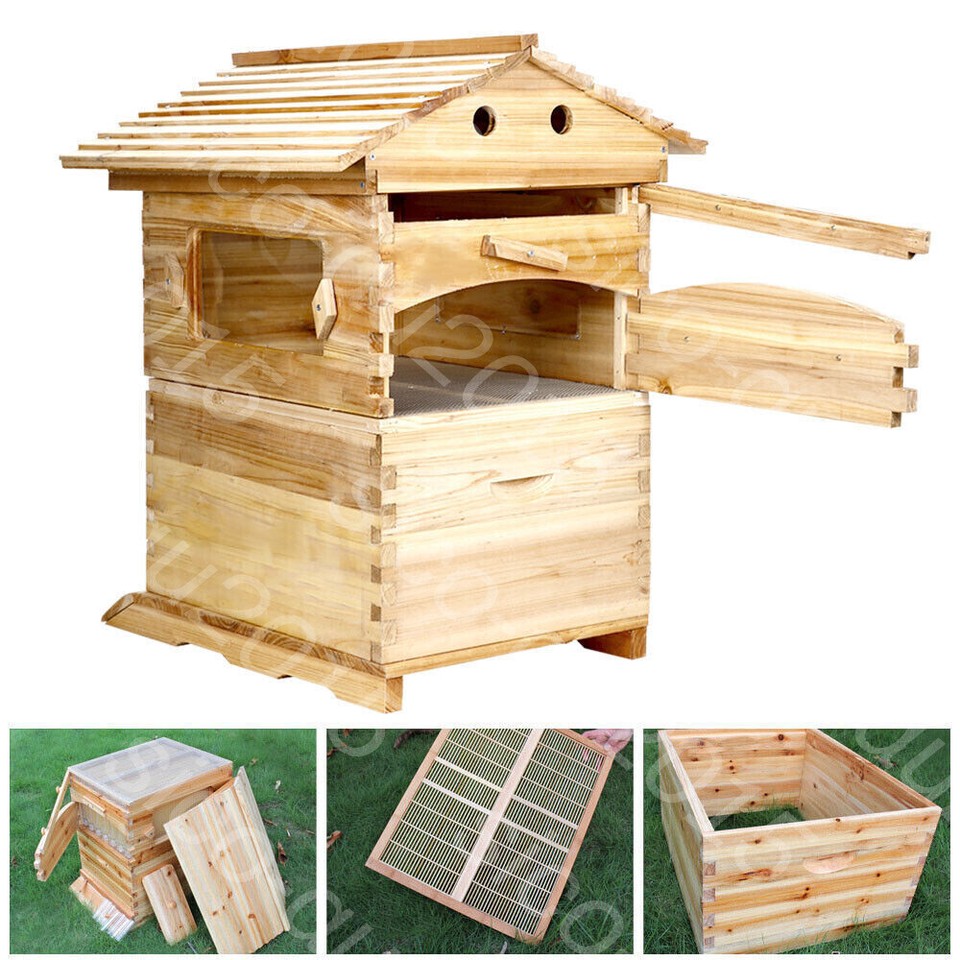 Auto Shed Bee Hive Honey Beekeeping Frames Beehive House 7x Comb Bee ...
