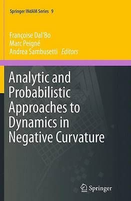 Analytic and Probabilistic Approaches to Dynamics in Negative Curvature ...